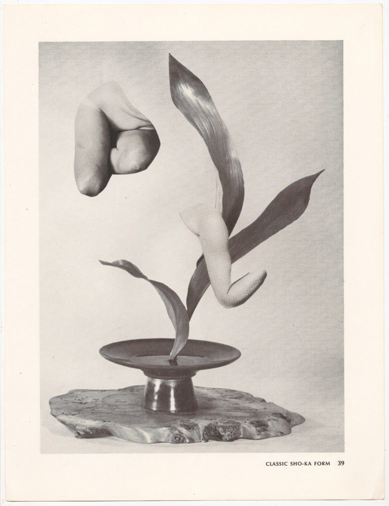 Heather Gabel: HYBRID – Welcome to Carlton Arms Hotel